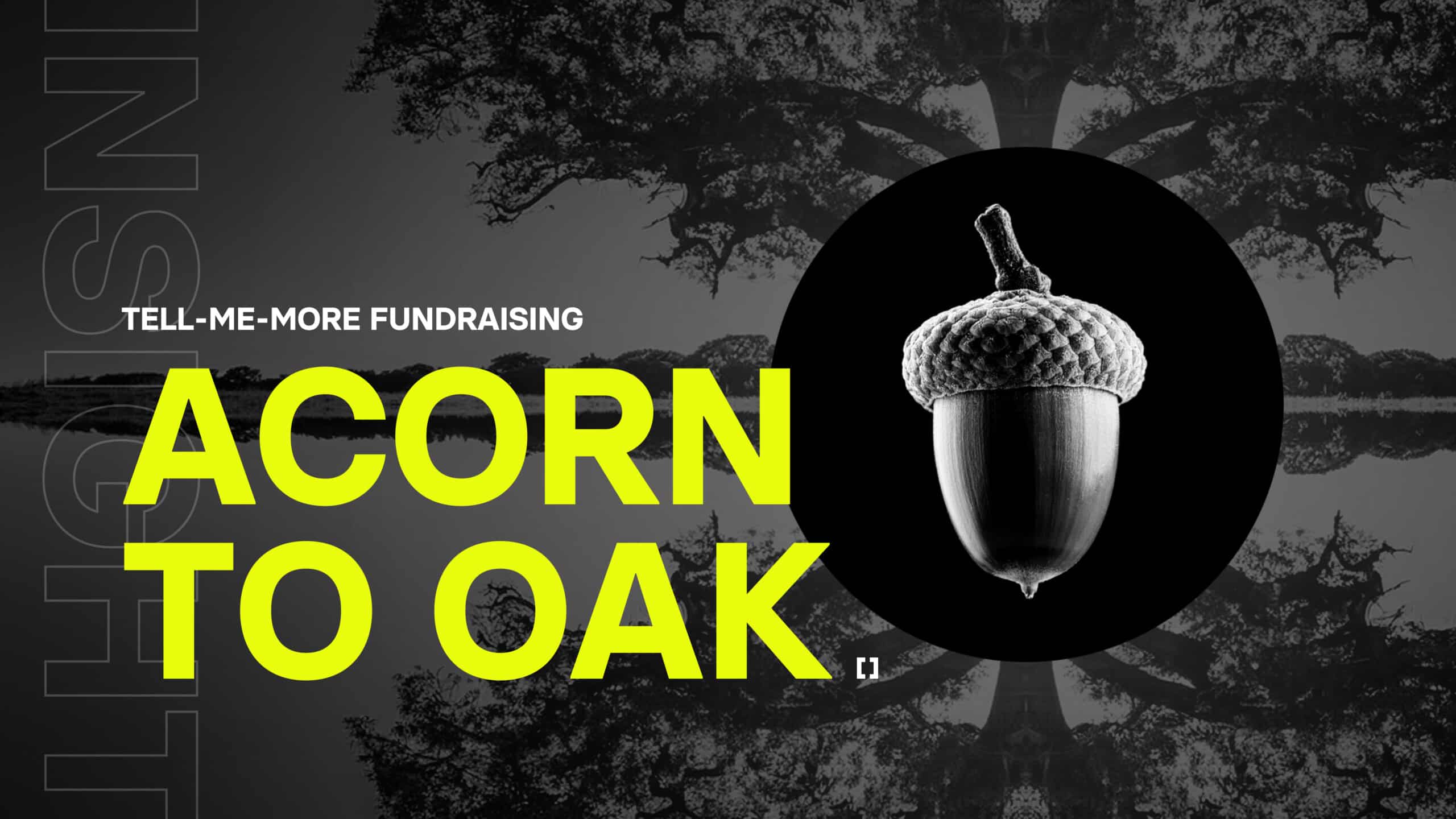 Acorn to oak: The tell-me-more moments of fundraising